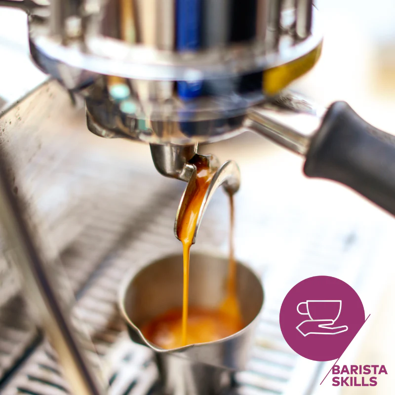 SCA Barista Skills Foundation | Opo Coffee